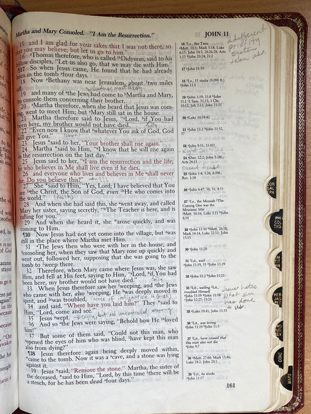 The New American Standard Bible (annotated) – ChezCarpus.com